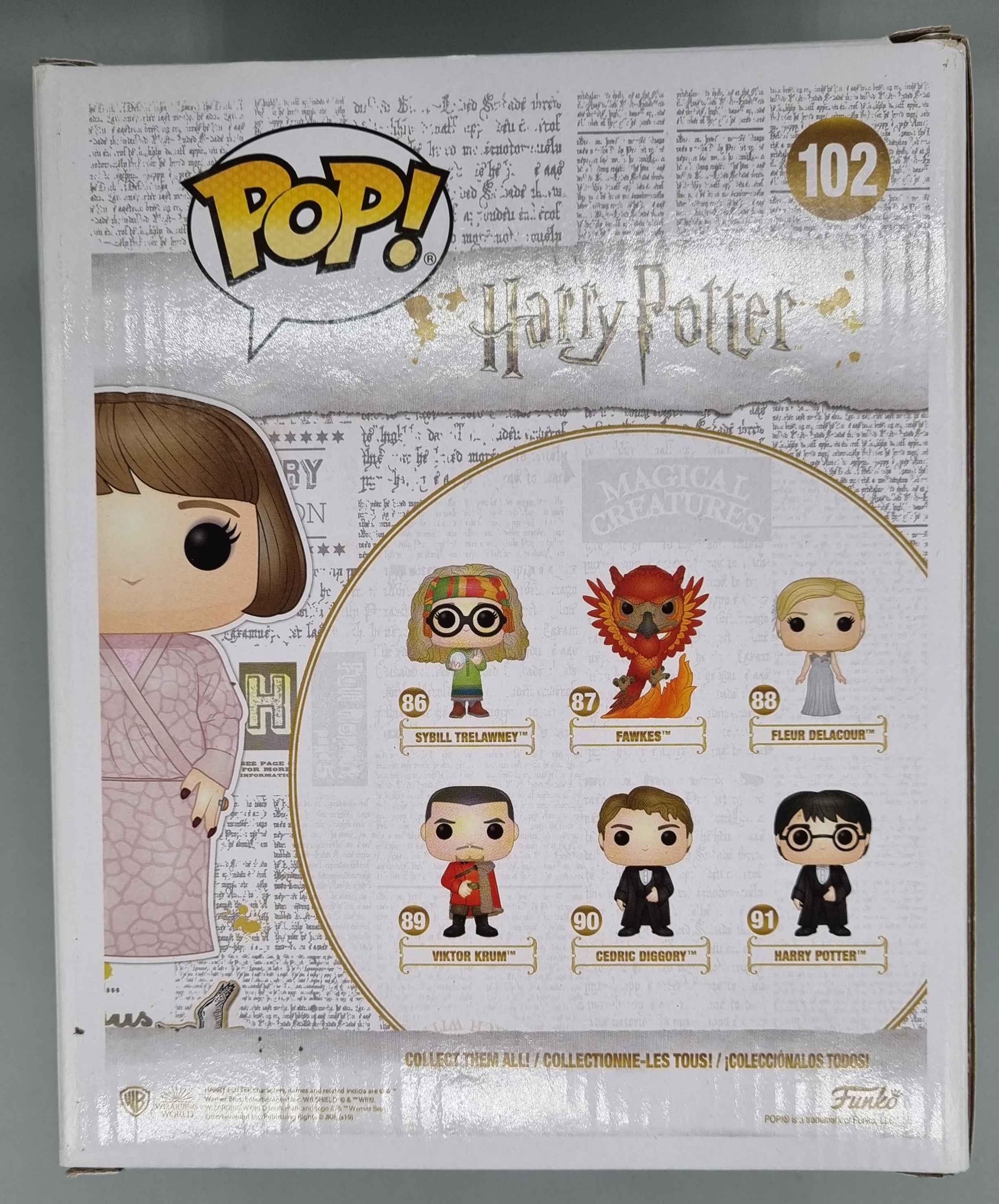 Harry Potter Madame Maxime